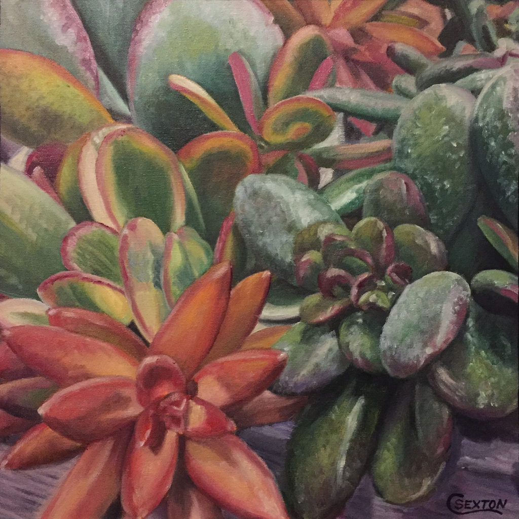 “Succulent Mix” – Carol Sexton Art
