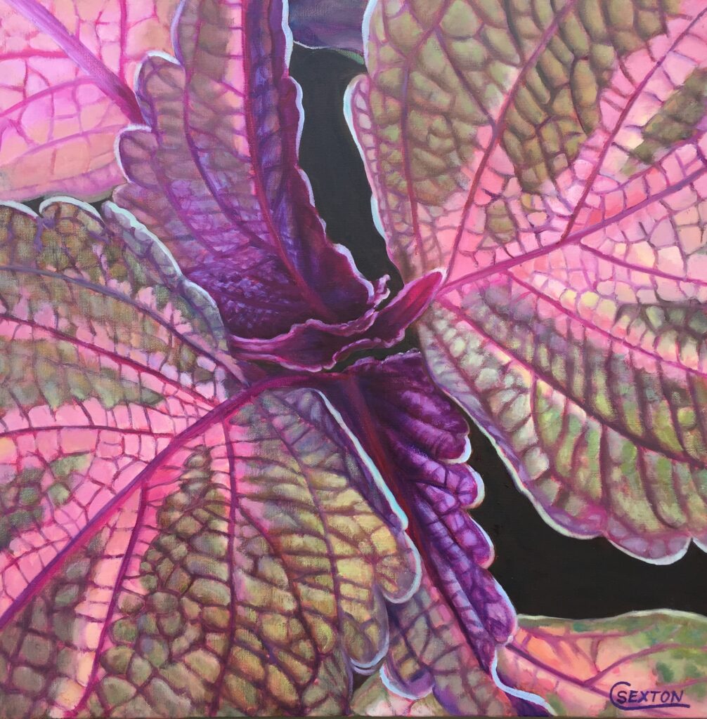 “Purple Passion” – Carol Sexton Art